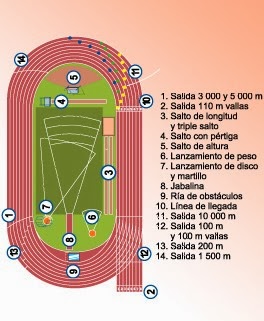 Atletismo de Campo.: En General Todos sobre Pruebas del Atletismo.